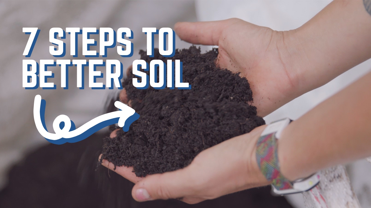Building Soil: What Makes Good Soil? – Videos – Mother Earth News
